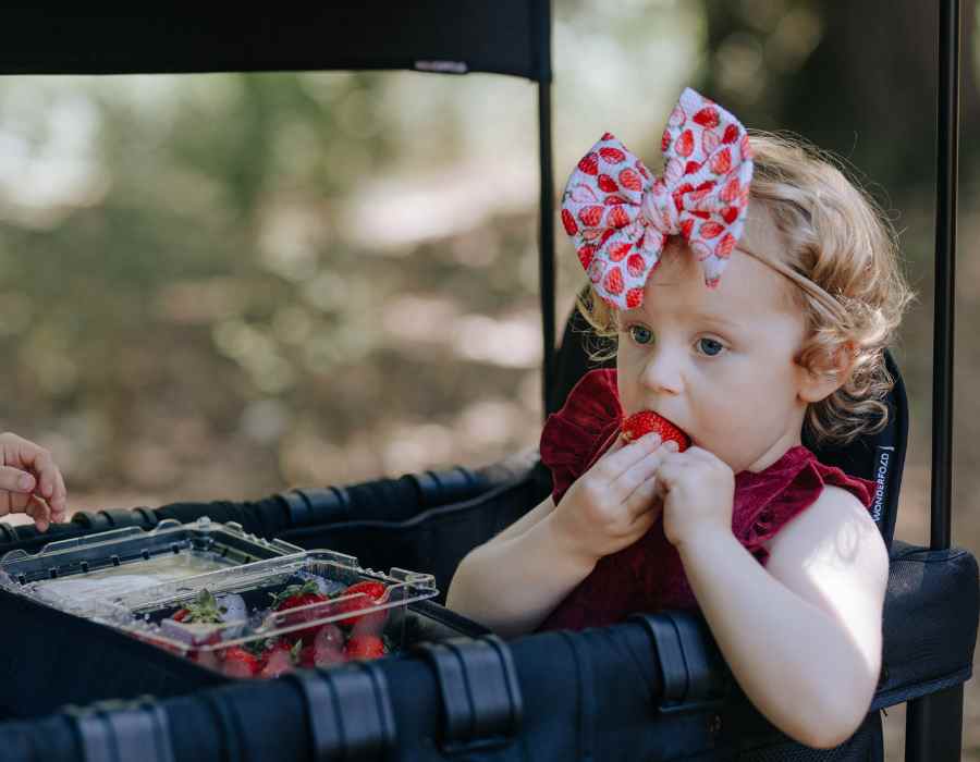Simple Snacks for 'On the Go'! – Wonderfold Wagon